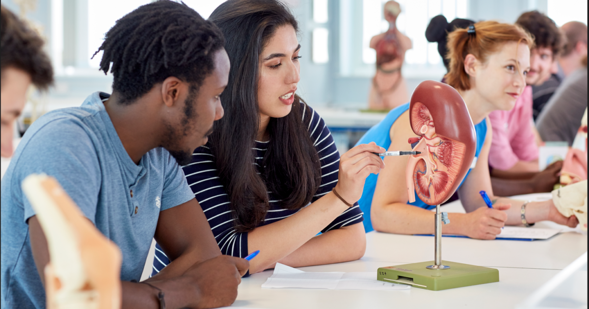 Your Study Options To Become A Doctor - The Medic Portal